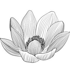 Abstract yellow lotus flower Royalty Free Vector Image