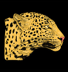 Leopard head Vector Image by insima - Image #1891281 - VectorStock