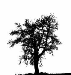 Trees design Royalty Free Vector Image - VectorStock