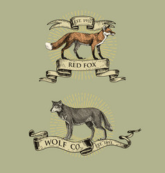 Red fox badges set forest ginger wild animal Vector Image