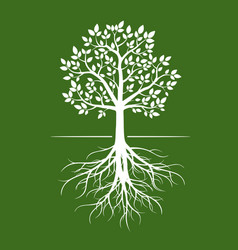 Tree roots design Royalty Free Vector Image - VectorStock