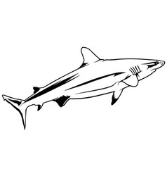 Shark & Outline Vector Images (over 250) - VectorStock