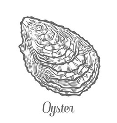 Oyster & Shell Vector Images (over 1,200)