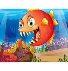 A nemo fish Royalty Free Vector Image - VectorStock
