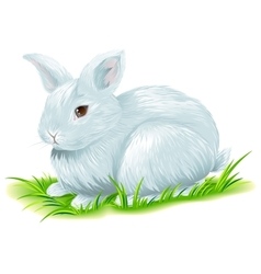 Easter bunny silhouette wreath of twig green Vector Image