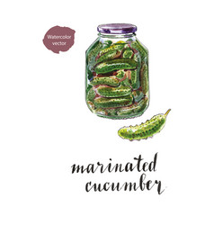 Calligraphy Royalty Free Vector Image - VectorStock