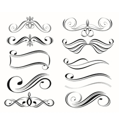 Calligraphic design elements Royalty Free Vector Image
