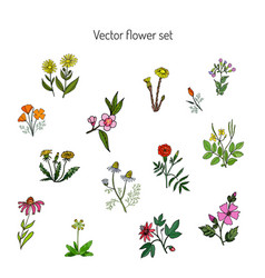 Botanical Vector Images (over 66,000)