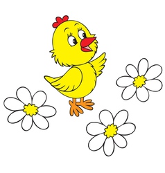 Chick Royalty Free Vector Image - VectorStock
