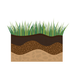 Ground cutaway Royalty Free Vector Image - VectorStock