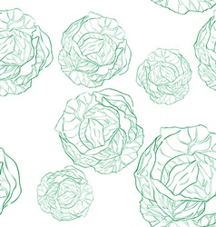 Cabbage Royalty Free Vector Image - VectorStock