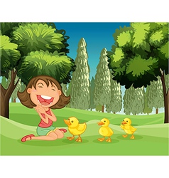 Ducks Royalty Free Vector Image - VectorStock
