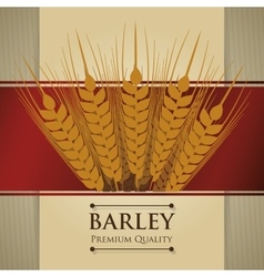Barley Vector Images (over 5,280) - VectorStock