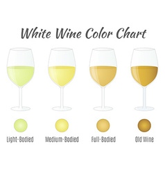 White wine color chart Royalty Free Vector Image