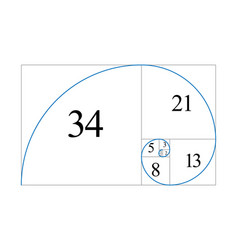 Golden ratio section rule mathematics formula Vector Image