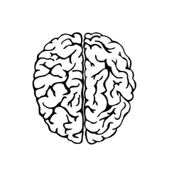 Human Brain Side View Royalty Free Vector Image