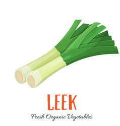 Cartoon leek Royalty Free Vector Image - VectorStock