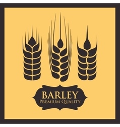 Barley Vector Images (over 5,280) - VectorStock