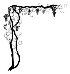 Grape outline Royalty Free Vector Image - VectorStock