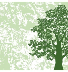 Oak tree Royalty Free Vector Image - VectorStock