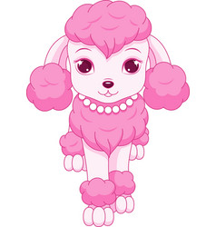 Pink poodle Royalty Free Vector Image - VectorStock