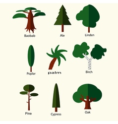 Trees set Royalty Free Vector Image - VectorStock