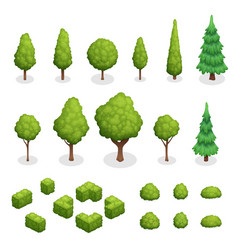3d isometric plants trees bushes palms Royalty Free Vector