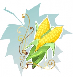 Maize plant growth infographic elements from seeds