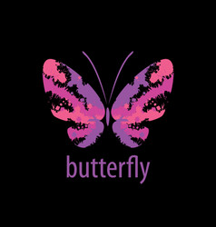 Butterfly colorful splash Vector Image by cienpies - Image #1528572 ...