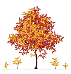 Beautiful autumn tree Royalty Free Vector Image