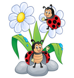 Lady bug Royalty Free Vector Image - VectorStock