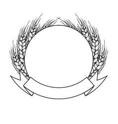 Hand drawing ears of rye Royalty Free Vector Image