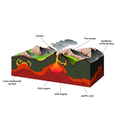 Earth core structure crust Royalty Free Vector Image