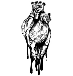 Human heart Royalty Free Vector Image - VectorStock