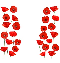 Parts of the poppy flower Royalty Free Vector Image