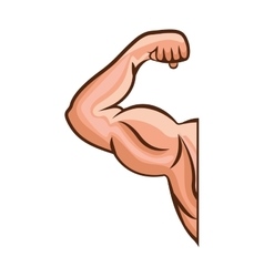 Muscle bodybuilder back pose Vector Image by bazzier - Image #14473247 ...