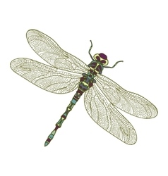 Dragonfly tattoo design vector by galina - Image #184975 - VectorStock