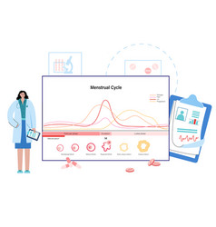 Hormones produced ovaries human endocrine Vector Image