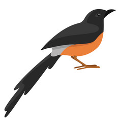 Burung enggang or rangkong Royalty Free Vector Image