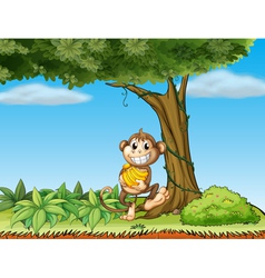 Monkey climbing up the vine Royalty Free Vector Image