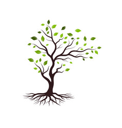 Tree branch design Royalty Free Vector Image - VectorStock