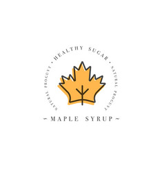 Maple syrup pancake Royalty Free Vector Image - VectorStock