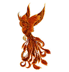 Mythical phoenix bird Royalty Free Vector Image