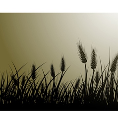 Wheat in the field vector by Wikki33 - Image #591807 - VectorStock
