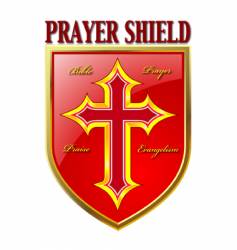 Christian cross and shield faith church logo Vector Image