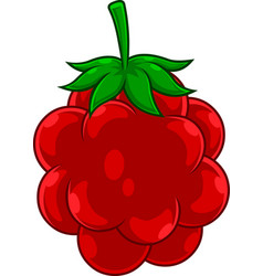 Funny happy raspberry character Royalty Free Vector Image