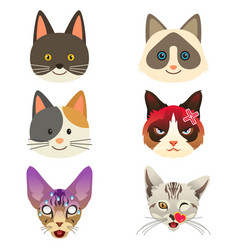 Cute smiling cat head collection set Royalty Free Vector