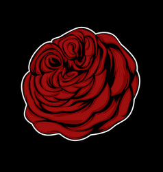 Red rose cartoon style on white background Vector Image