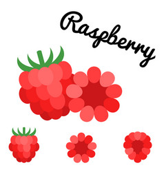 Raspberry Royalty Free Vector Image - VectorStock