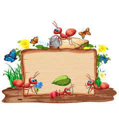 Border template design with insects in garden Vector Image